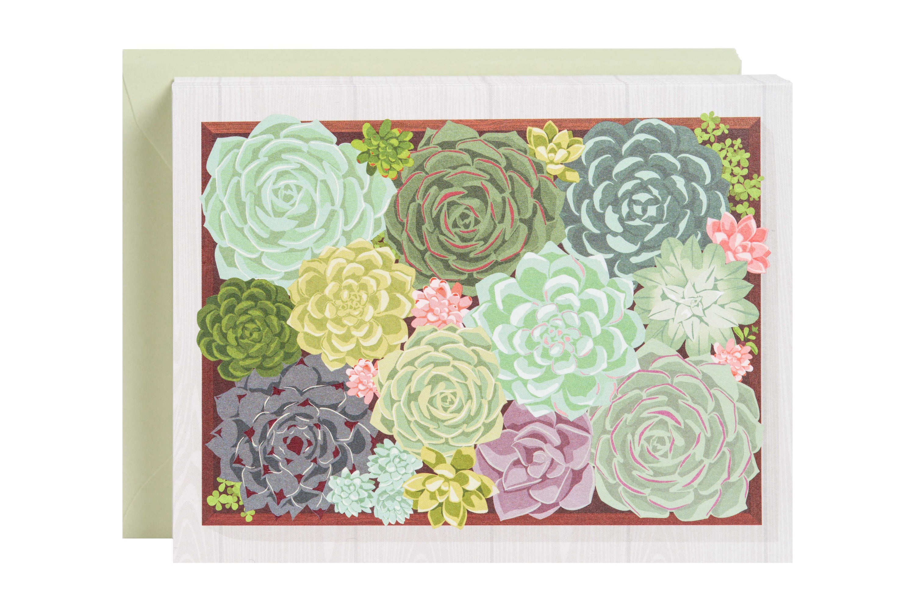 Succulents Blank Card Set – St. Louis Art Supply