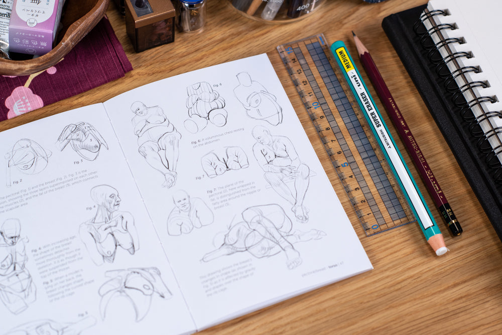 Morpho Anatomy Handbooks: Fat and Skin Folds – St. Louis Art Supply